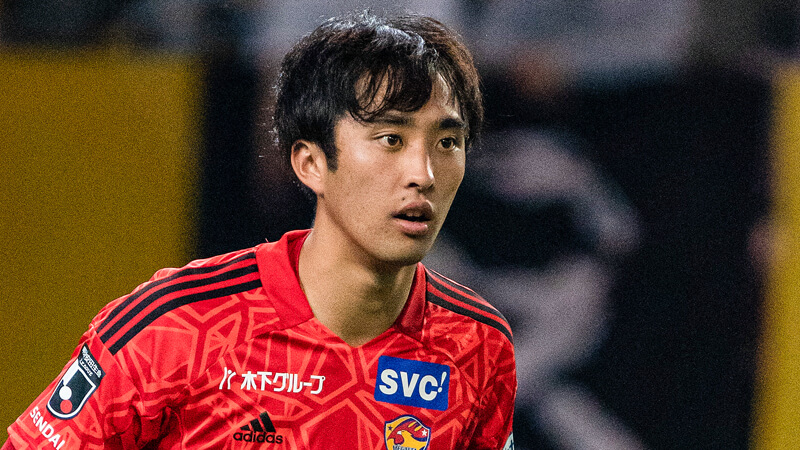 vol17-V PRESS-PLAYERS FILE HOME